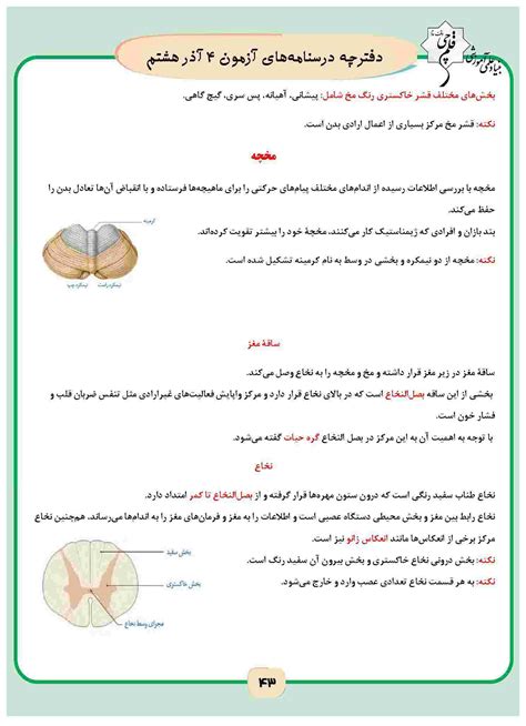 دستگاه عصبی علوم هشتم ویژه آزمون4آذر شیدااسماعیل نیا