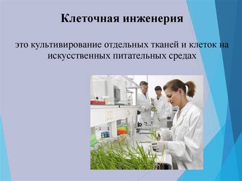 Методы селекции и биотехнологии презентация онлайн