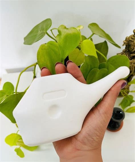 Buy Jala Neti Pot Set 3 Pcs Online Yogikuti