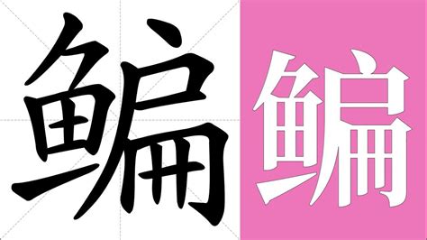 鳊的笔画顺序教学，鳊的意思，鳊的字义解释，鳊的字典查询，鳊的汉字编码。 Meaning Of 鳊 Definition Of 鳊 Stroke Order Of 鳊 汉字 汉字