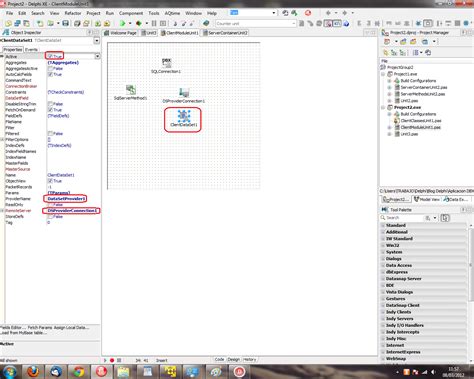 Trabajando Con Delphi Xe Ejemplo Aplicación Con Base De Datos De 3 De