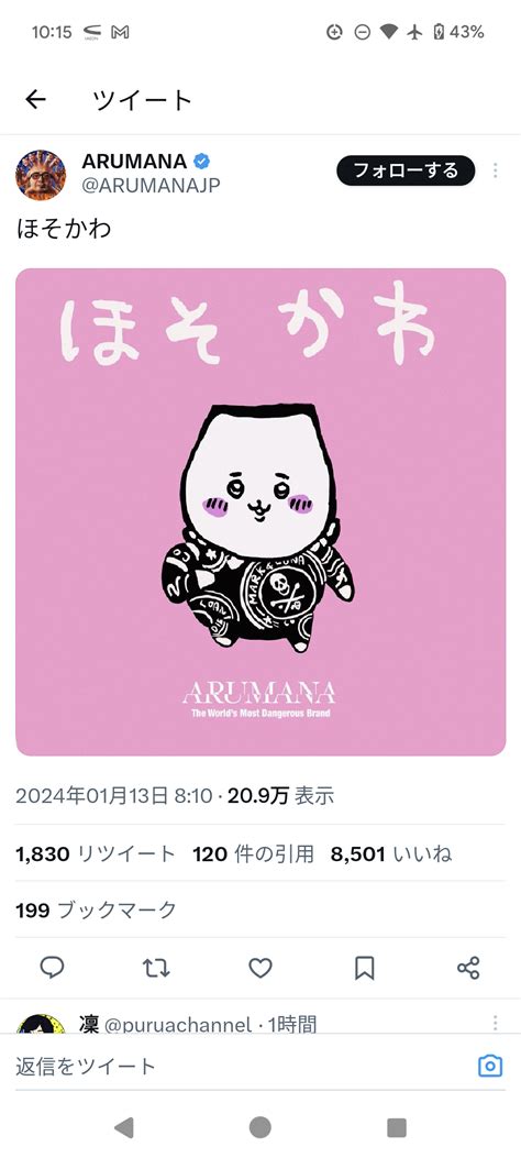 【爆笑】細川たかし師匠に激似の猫ちゃん ねことダンボール