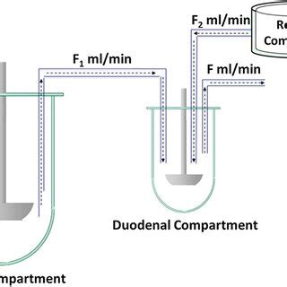 Schematic Representation Of BioGIT F1 And F2 Are The Incoming Flow
