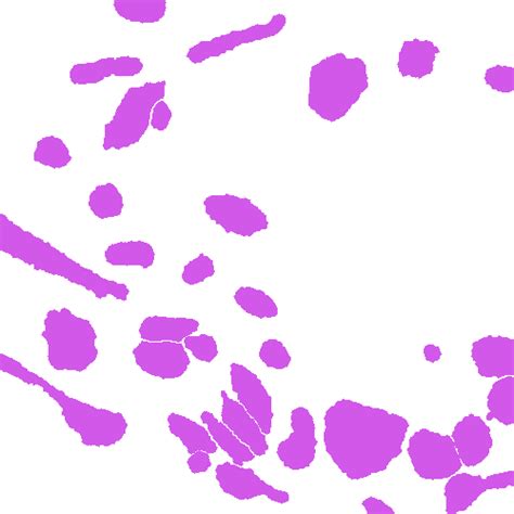 Annotated Quantitative Phase Microscopy Cell Dataset Ninja