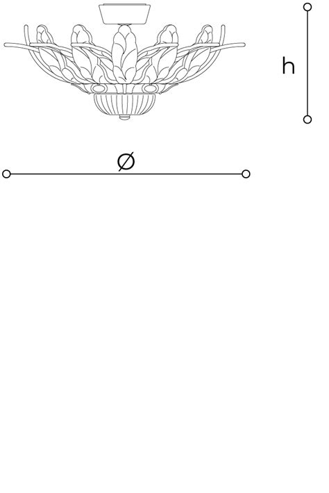 50 Ceiling Celebrities