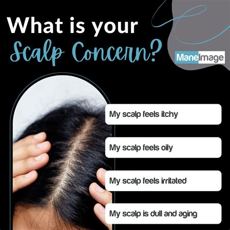 Pin On Monat