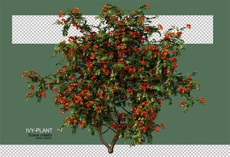 Premium Psd 3d Render Ivy With Colorful Flowers