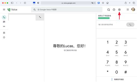 Google Voice Voice