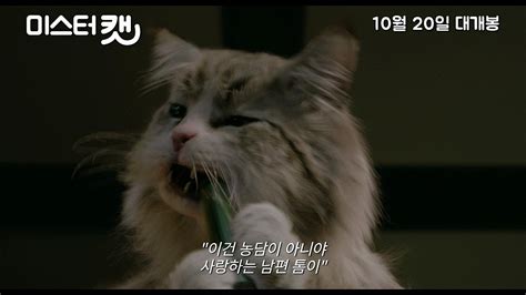 무삭제 영상 네이버 Tv