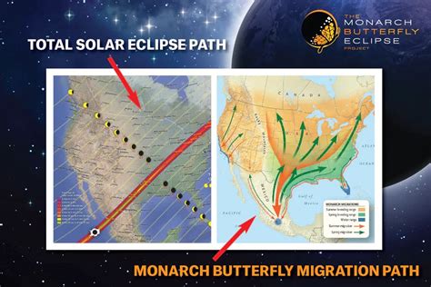 Local High School Students Illuminate Monarch Butterflys Migration Path Through Solar Eclipse