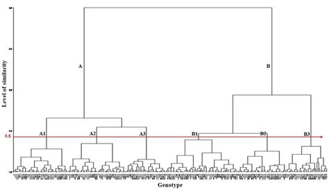 Cluster Dendrogram Showing The Distribution Of Our Population Into Download Scientific Diagram