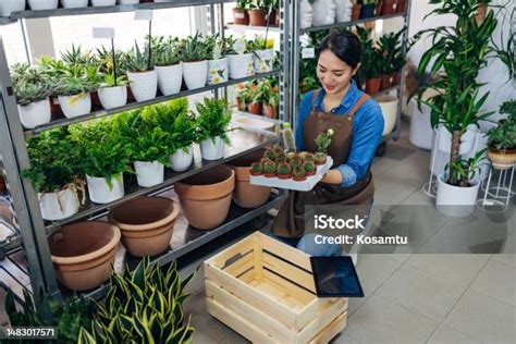 식물학자는 꽃 가게에서 선인장 화분을 들고 디지털 태블릿에 재고와 기록을 남깁니다 30 34세에 대한 스톡 사진 및 기타 이미지 30 34세 공예 구매 Istock