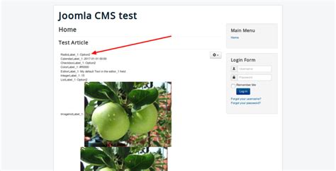 J3 X Adding Custom Fields Radio Field Joomla Documentation