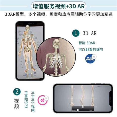 人体解剖彩色学图谱第三版第3版新版郭光文3d搭奈特医用医学生解剖书外科全彩局部系统实用解剖彩绘本科大学教材二版升级人民卫生虎窝淘