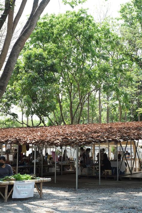 Gallery Of Folly In The Forest Pavilion Bangkok Tokyo Architecture 12