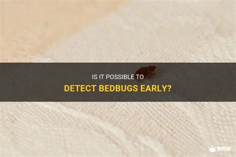 Is It Possible To Detect Bedbugs Early Medshun