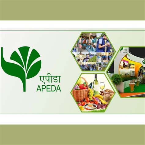 Delhi Apeda Registration Service At Rs 2499year In New Delhi Id
