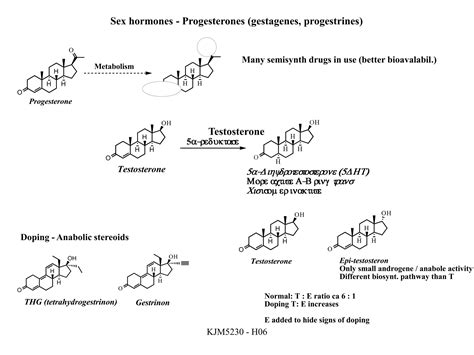 Bioactive Compounds In Plants Pptx Chemistry Science