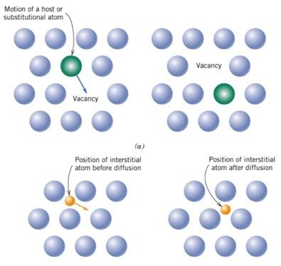 Chapter 5 Diffusion Flashcards Quizlet