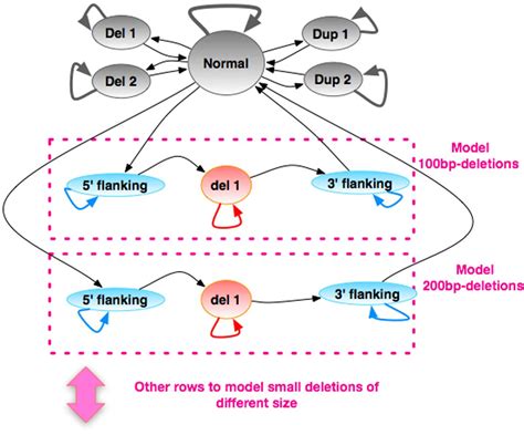 A Hidden Markov Model For Copy Number Variant Prediction From Whole