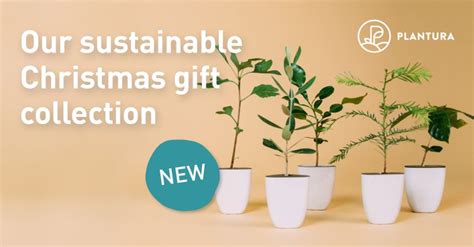 Dominik Schmidt Posted On Linkedin