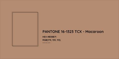 About Pantone 16 1323 Tcx Macaroon Color Color Codes Similar