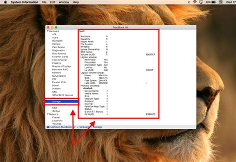 How To Check Your MacBook S Specs