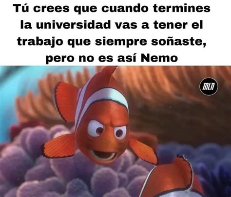 Tú Crees Que Cuando Termines La Universidad Vas A Tener El Trabajo Que
