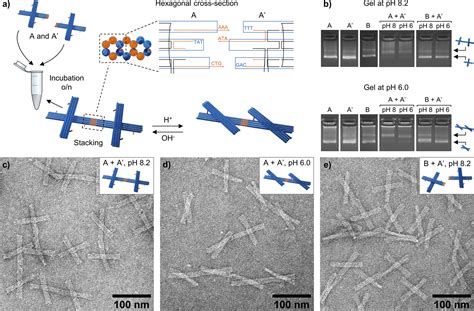 Reconfigurable Ph Responsive Dna Origami Lattices Acs Nano