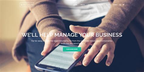 tutorial install theme bridge tutorial install theme and plugin