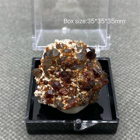 100 천연 가넷 스모키 크리스탈 공생 거친 돌 표본 석영 광물 및 상자 크기 353535mm