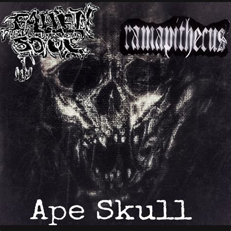 Ape Skull Ramapithecus Fallen Soul Ramapithecus