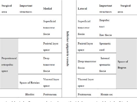 Figure 3 From Anatomy Essentials For Laparoscopic Inguinal Hernia
