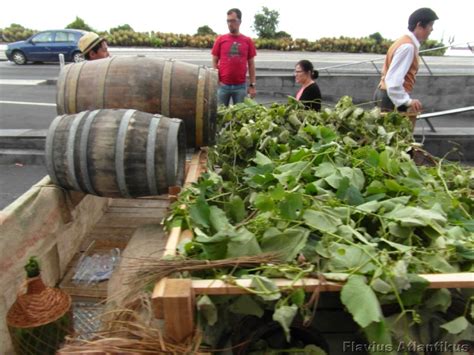 Flavius Atlantikus Festas Do Divino Espírito Santo Ponta Delgada 2014
