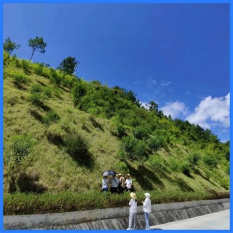 景绣护坡喷播种草中粘合剂的应用 河南景绣绘远生态科技