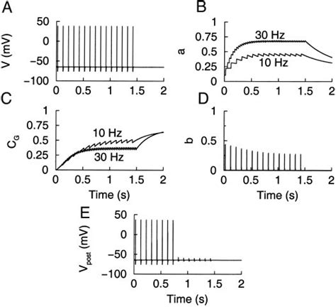 Simulation With A Single Presynaptic And A Single Postsynaptic Cell A