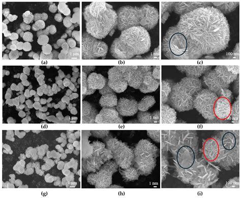 Innovation Of Biobrbioibi5o7i Ternary Heterojunction For Catalytic Degradation Of Sodium P