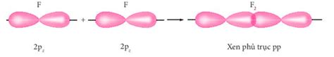 Sự Xen Phủ Giữa Hai Orbital P Trong Trường Hợp Nào Sẽ Tạo Thành Liên Kết σ