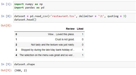 Day 7 Building A Sentiment Analysis Model Nomidl