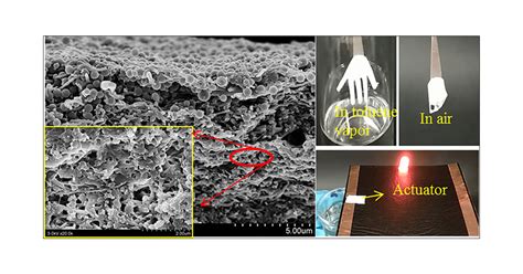Superfast Porous And Organic Solvent Sensitive Actuator Based On Evoh