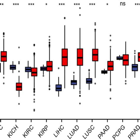 Expression Of Cd80 In Normal And Tumor Tissues A Cd80 Expression In