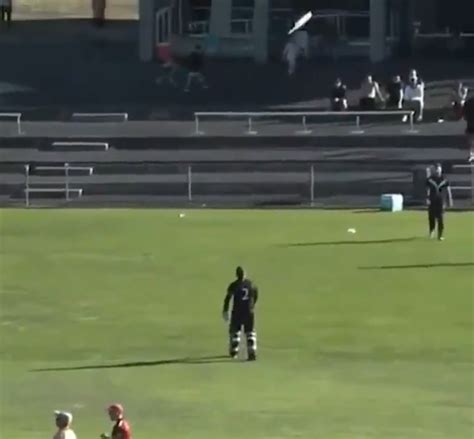 Watch Batsman Throws Bat Helmet And Gloves After Getting Out Via