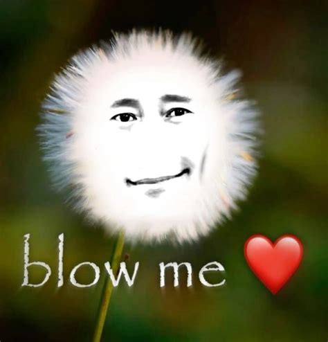 Discover 330 Roblox Avatars Ideas Roblox Roblox Roblox Avatar And More