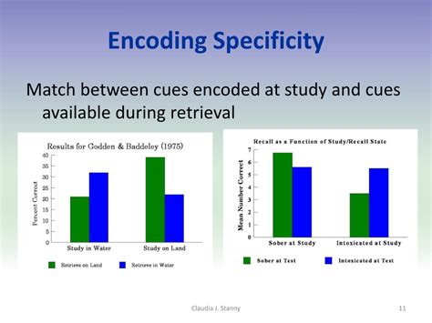 Ppt Long Term Memory Powerpoint Presentation Free Download Id608181