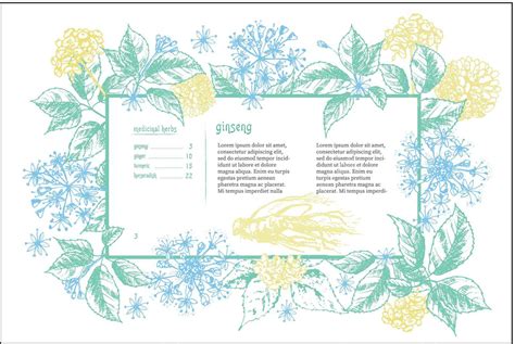 Ginseng Botanical Sketch On White Chinese Medicine Herb Vector Care