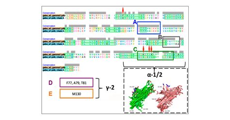 Analysis Of Differential Efficacy And Affinity Of Gabaa α1α2