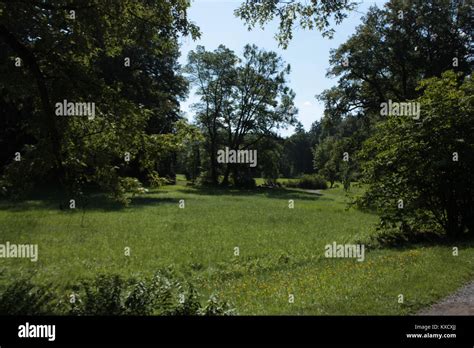 Short Textual Entry Likely Representing A Code String Or Dataset