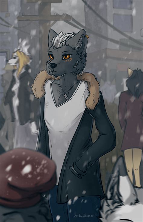 Furry M Furry Canine Furry Art Silianor Furry фурри