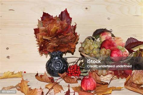 추수 감사절 계절 가을 자연 열매 사과 바구니에 포도와 나무 배경에 잎 복사 공간 가을 배경 0명에 대한 스톡 사진 및 기타