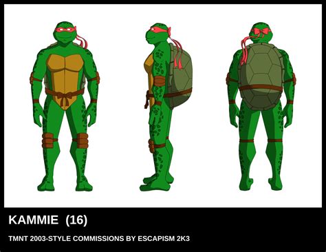 🧡knux Loves Tmnt Shell Yeah 🧡 Heya Guys Heres A Reference Sheet Of My Tmnt